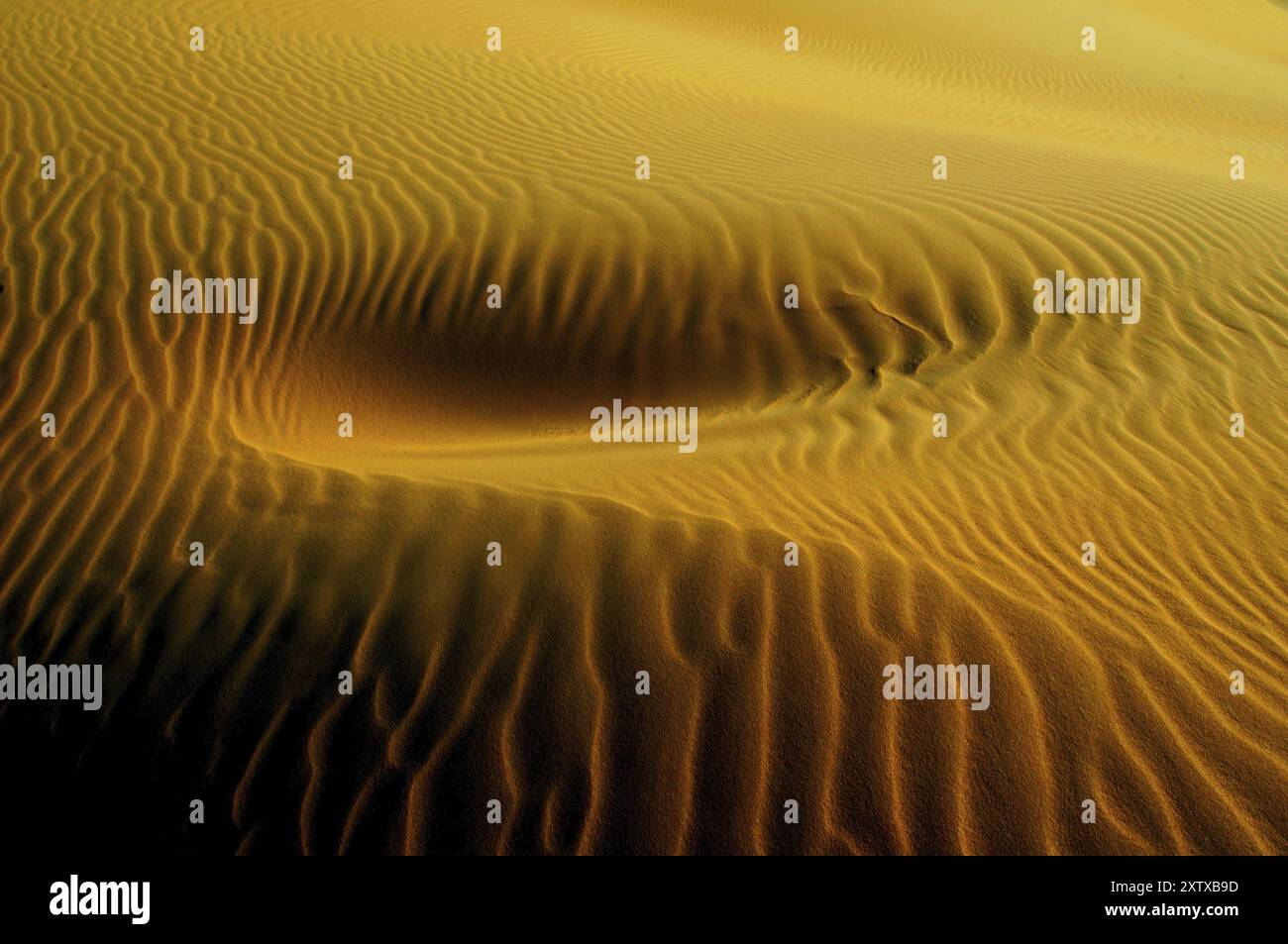 Egypt, Great Sand Sea, Middle East, Africa Stock Photo - Alamy