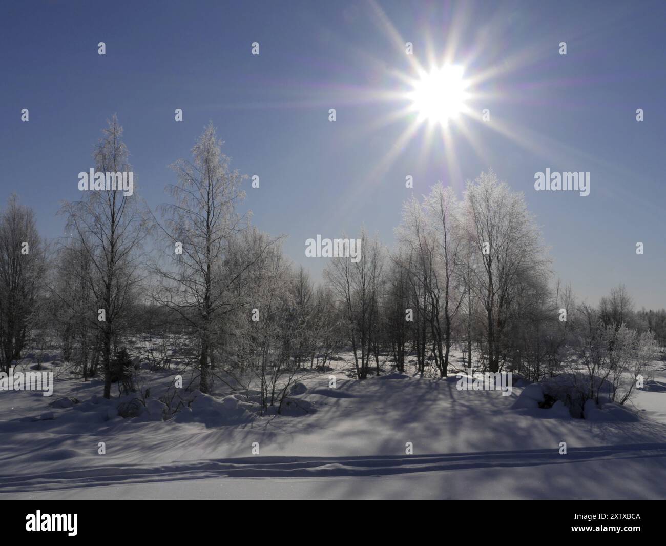 Swedish people winter hi-res stock photography and images - Alamy