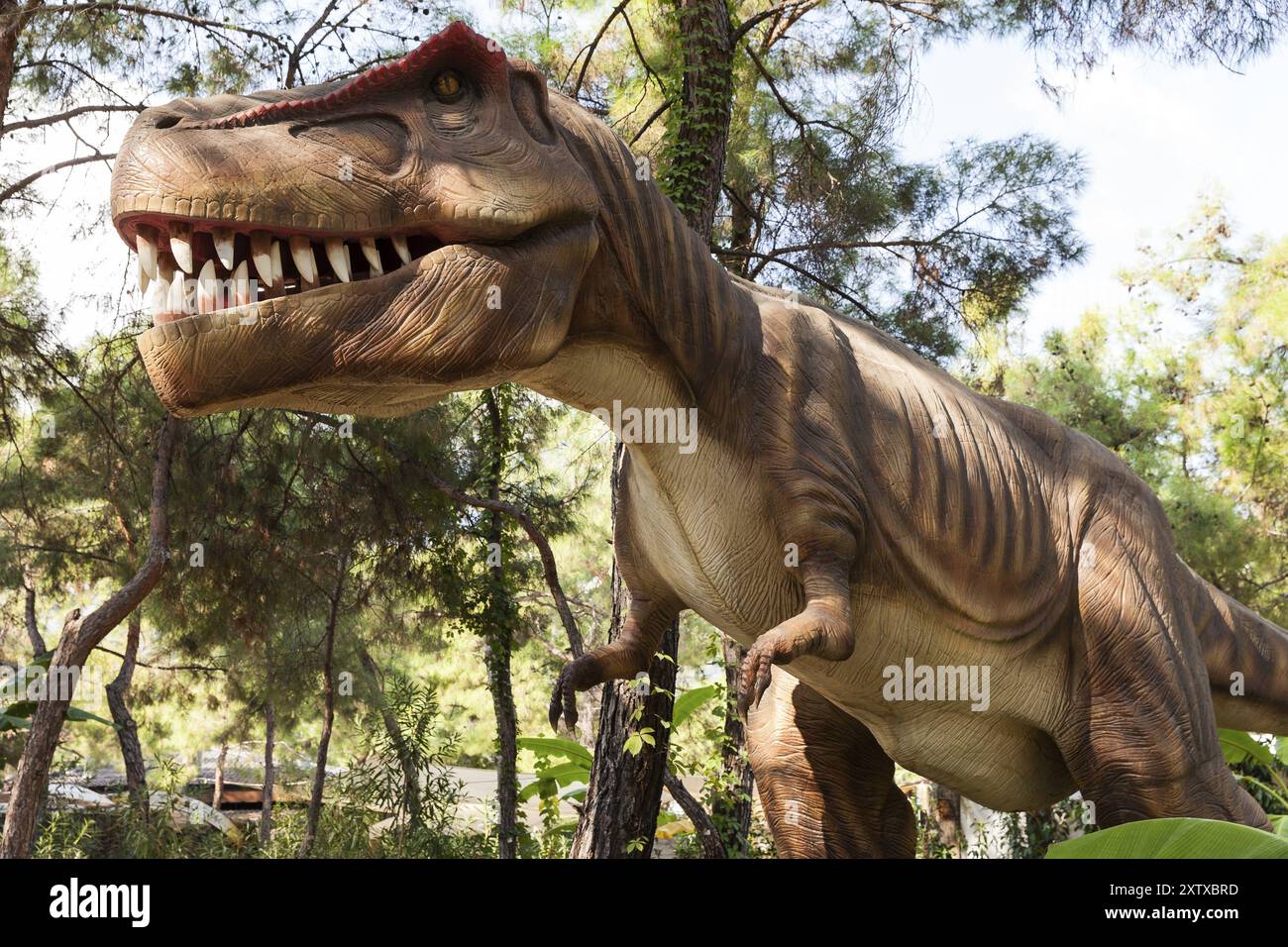 Tyrannosaurus, prehistoric era dinosaur showing his toothy mouth Stock ...