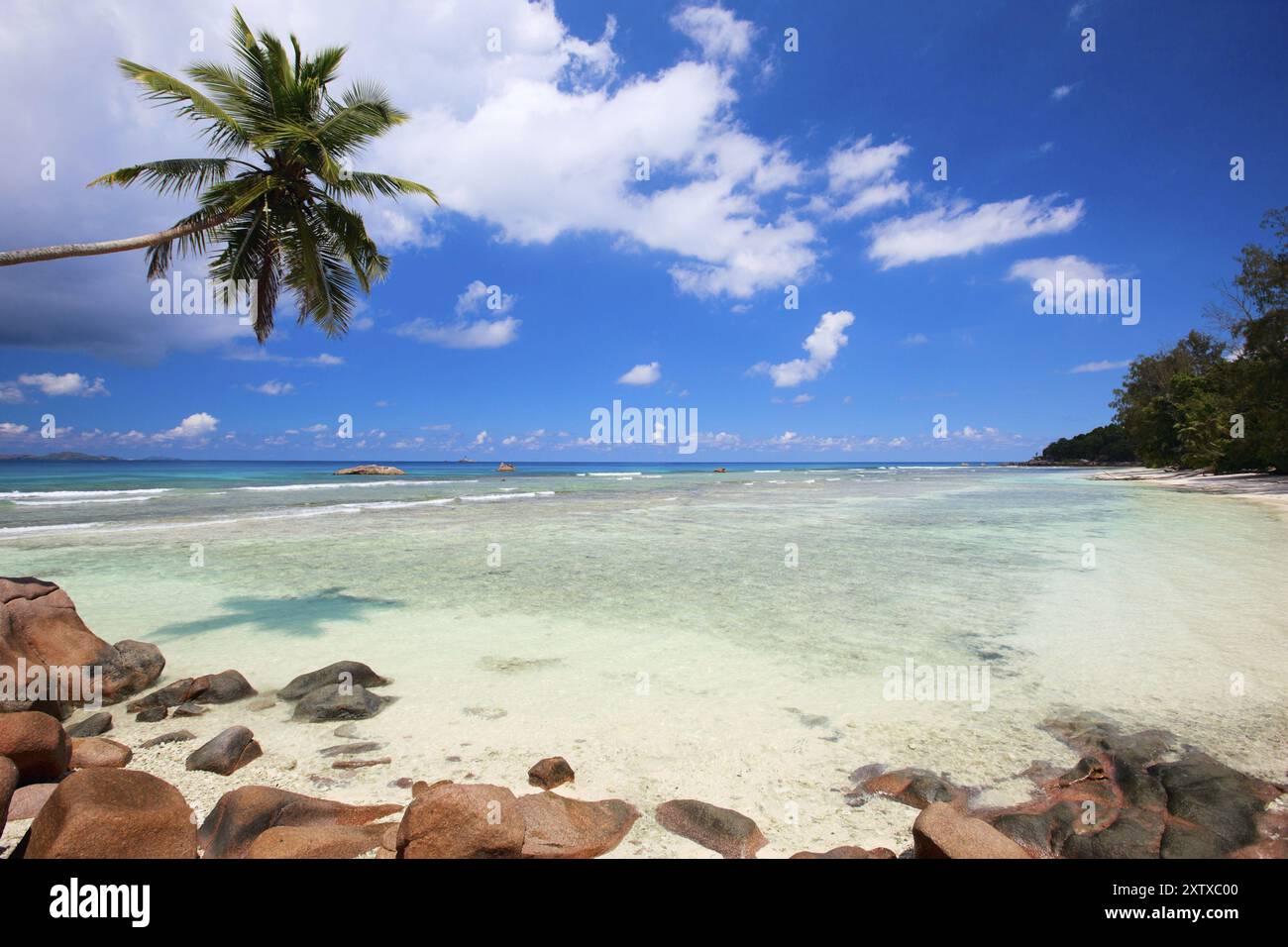 La Digue, Palm tree beach, Seychelles, Indian Ocean, Palm trees, La ...