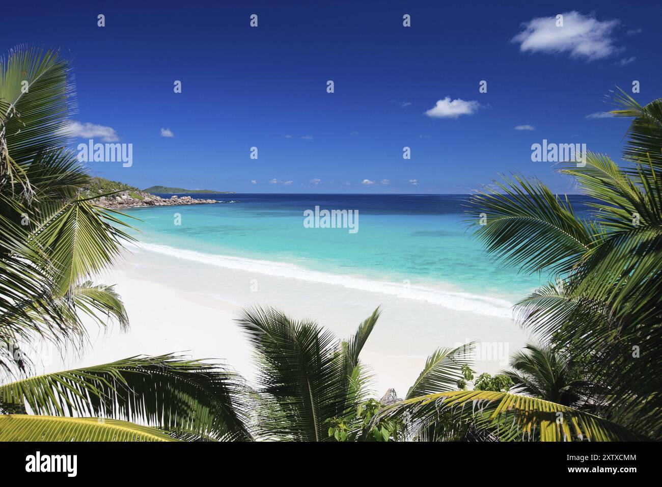 La Digue, Palm tree beach, Seychelles, Indian Ocean, Palm trees, La ...