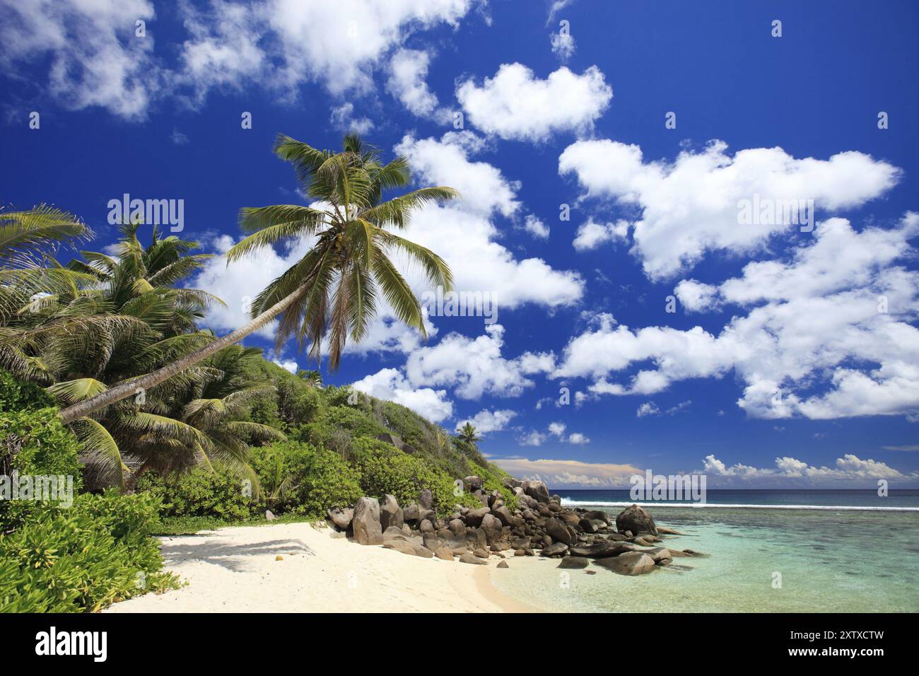 La Digue, Palm tree beach, Seychelles, Indian Ocean, Palm trees, La ...