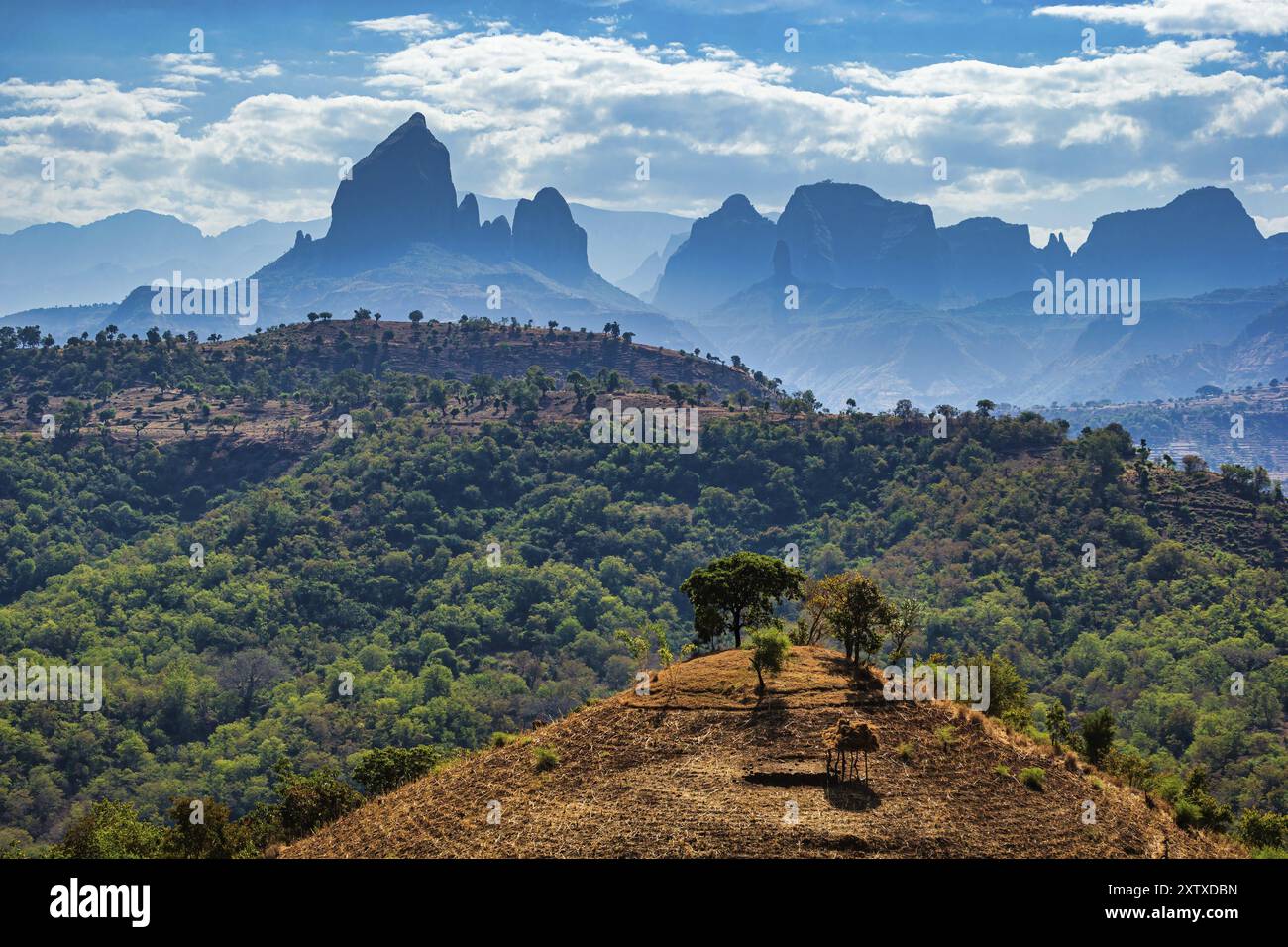 Ethiopia scenery landscape hi-res stock photography and images - Alamy