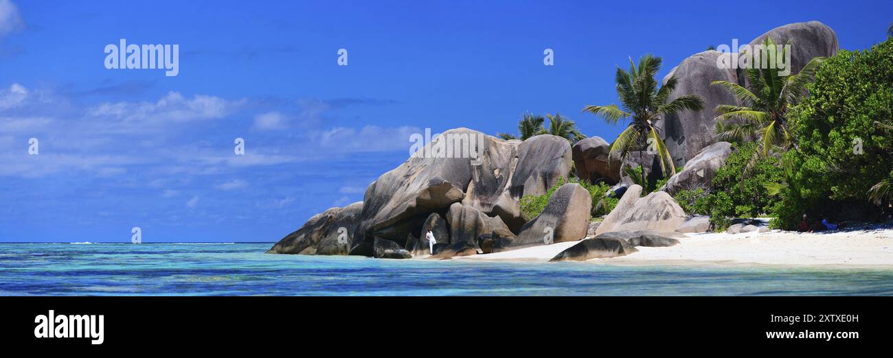 La Digue, Palm tree beach, Seychelles, Indian Ocean, Palm trees, La ...