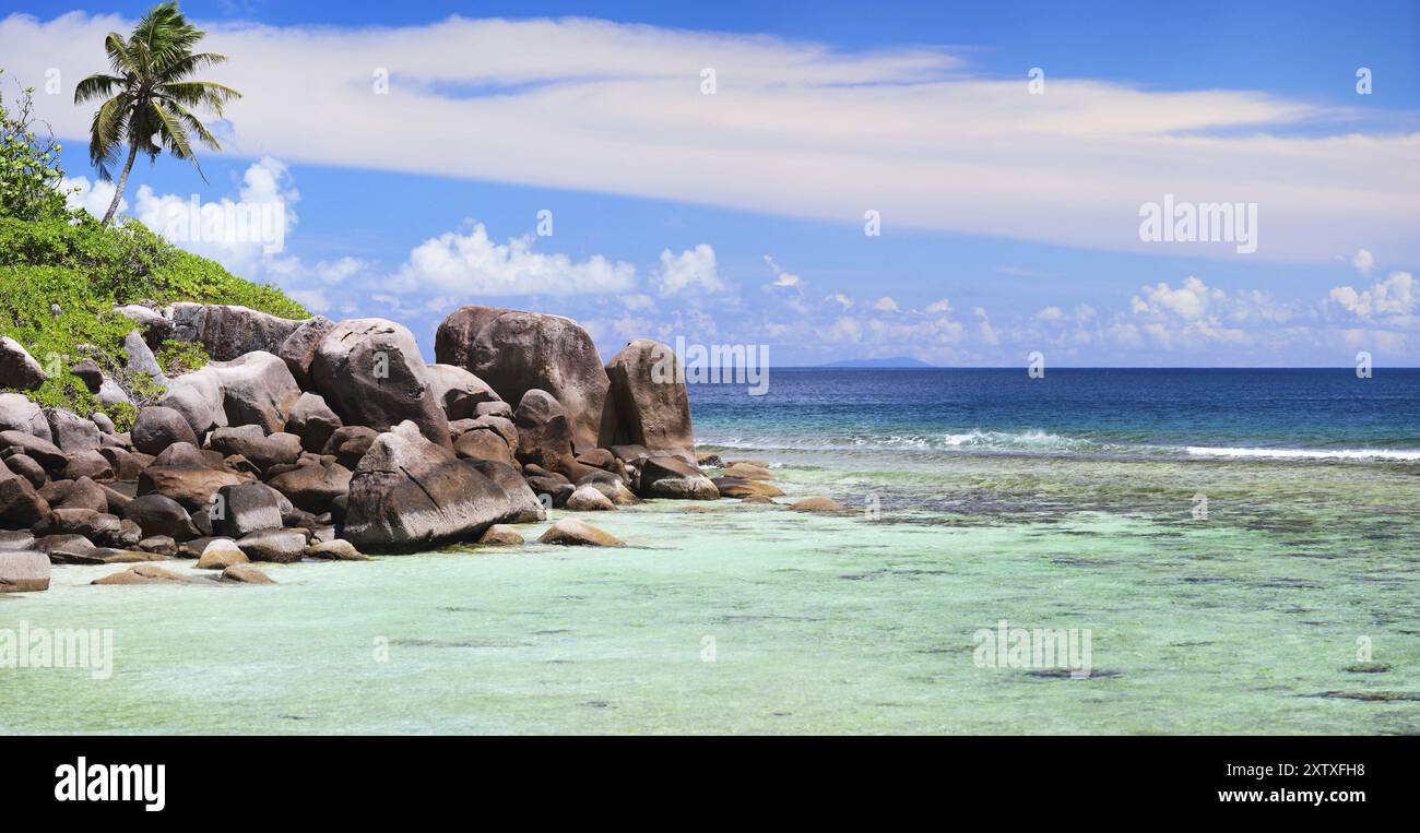 La Digue, Palm tree beach, Seychelles, Indian Ocean, Palm trees, La ...