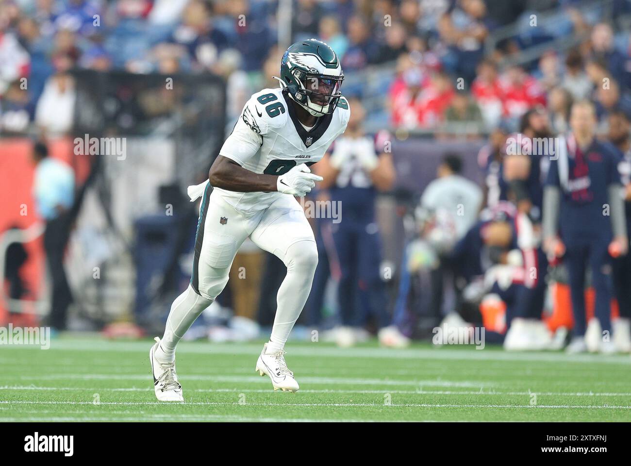 Joseph ngata eagles hi-res stock photography and images - Alamy