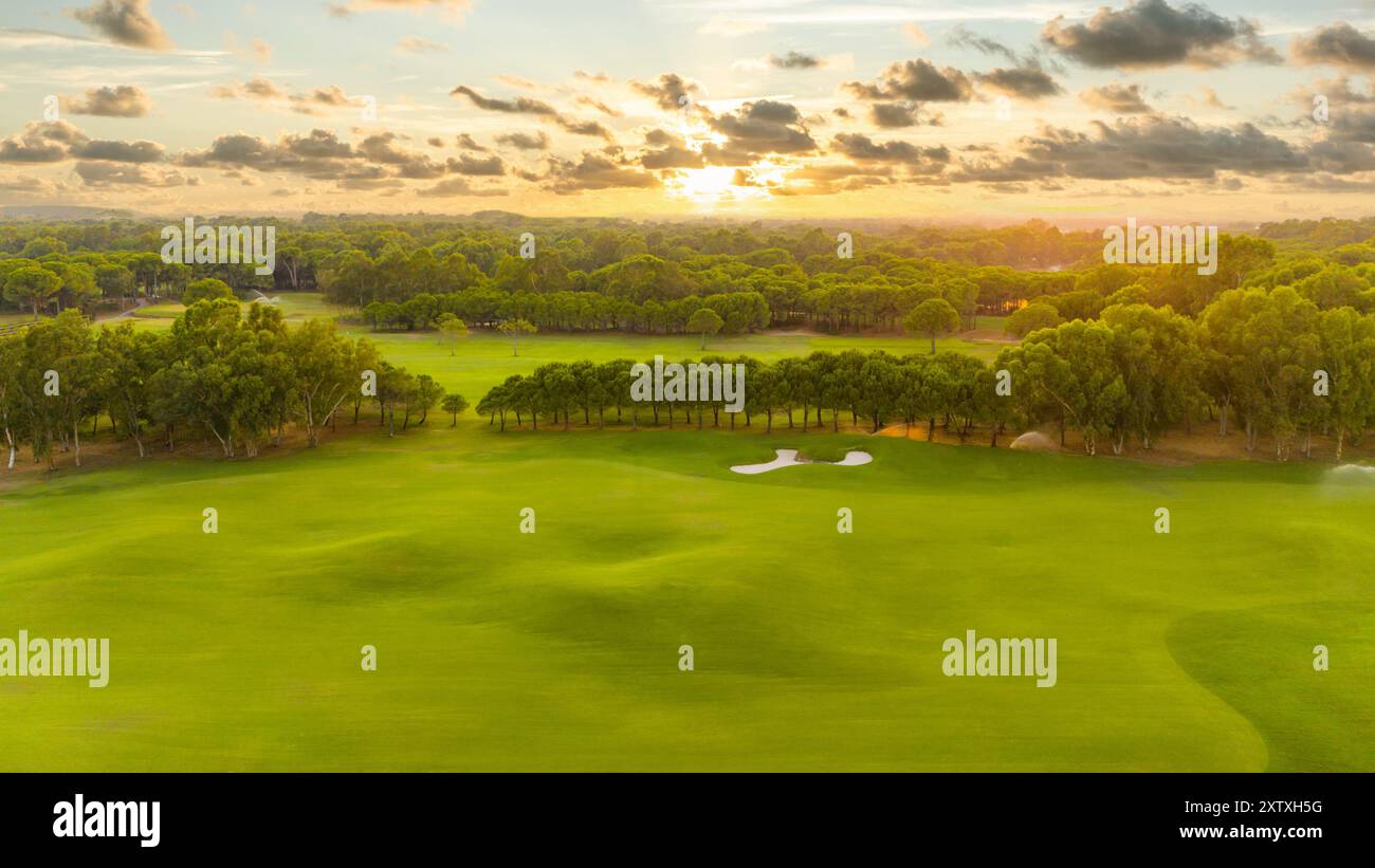 Aerial drone flyover pine tree hi-res stock photography and images - Alamy