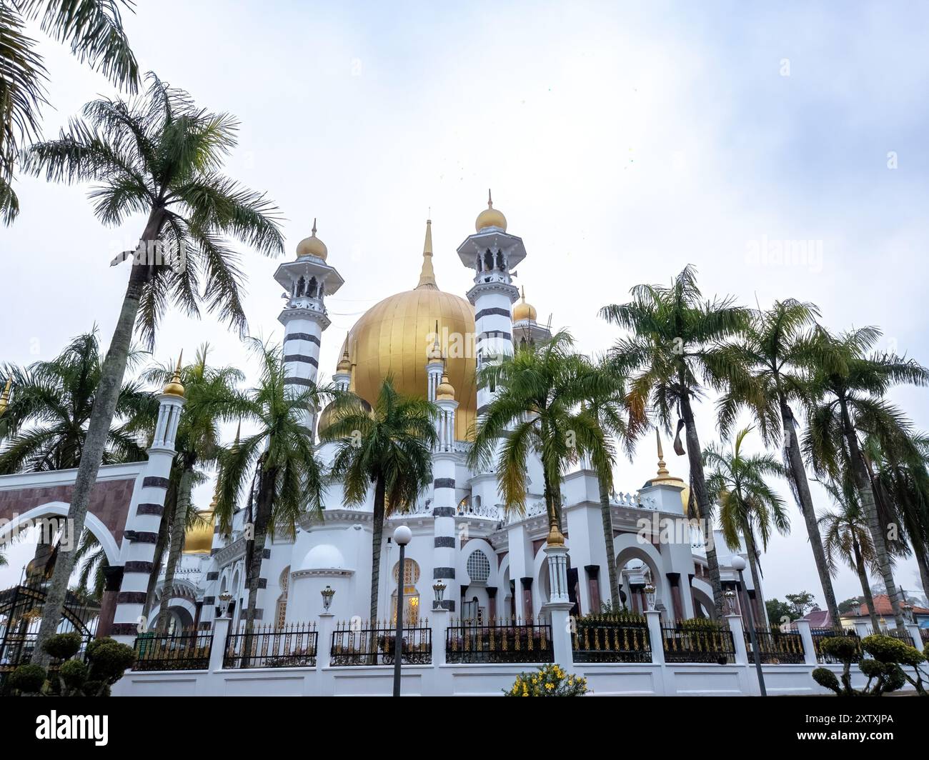 A stunning view of Ubudiah Mosque with its golden domes and palm trees ...