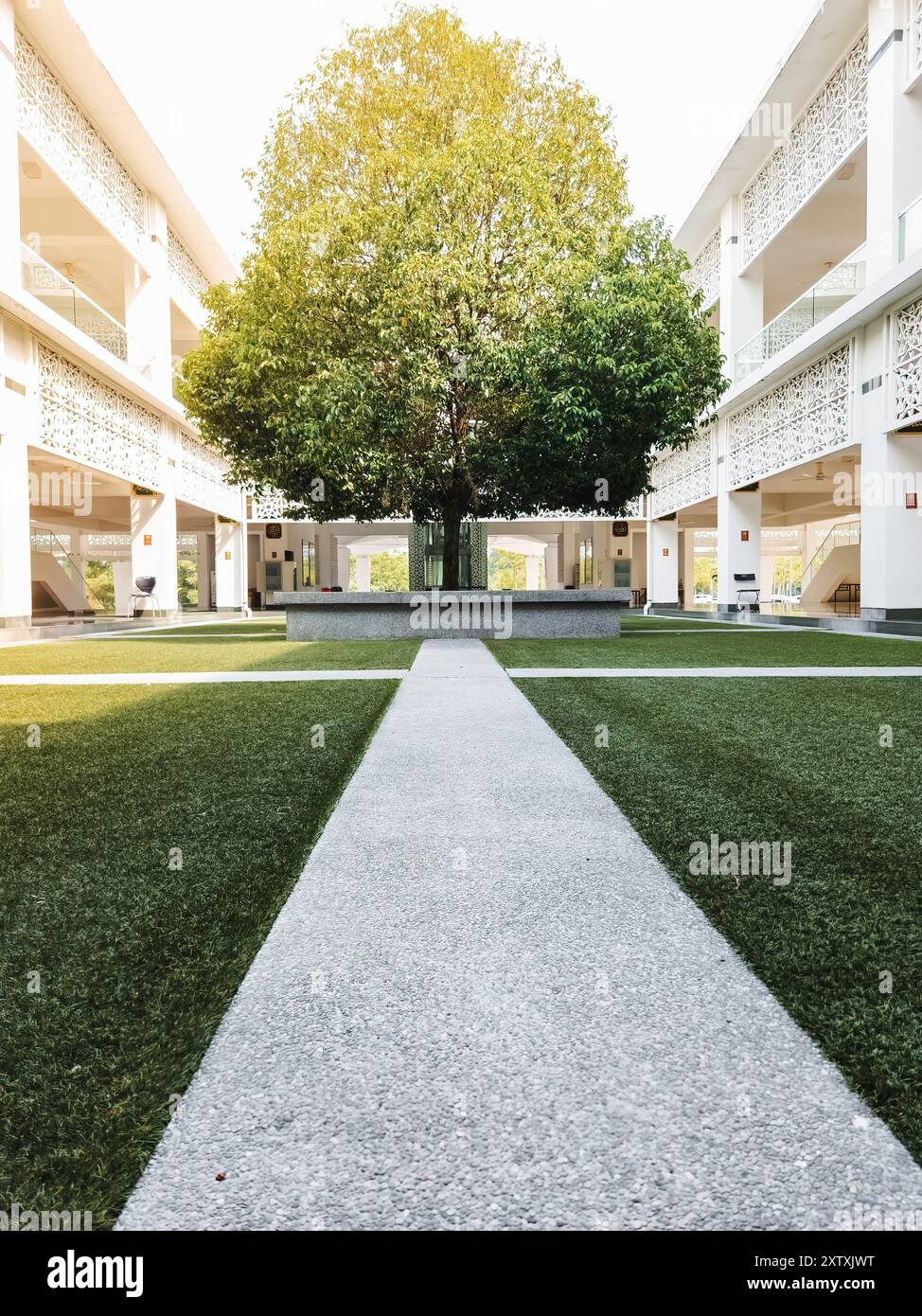 A contemporary courtyard that features a large tree in the middle and ...