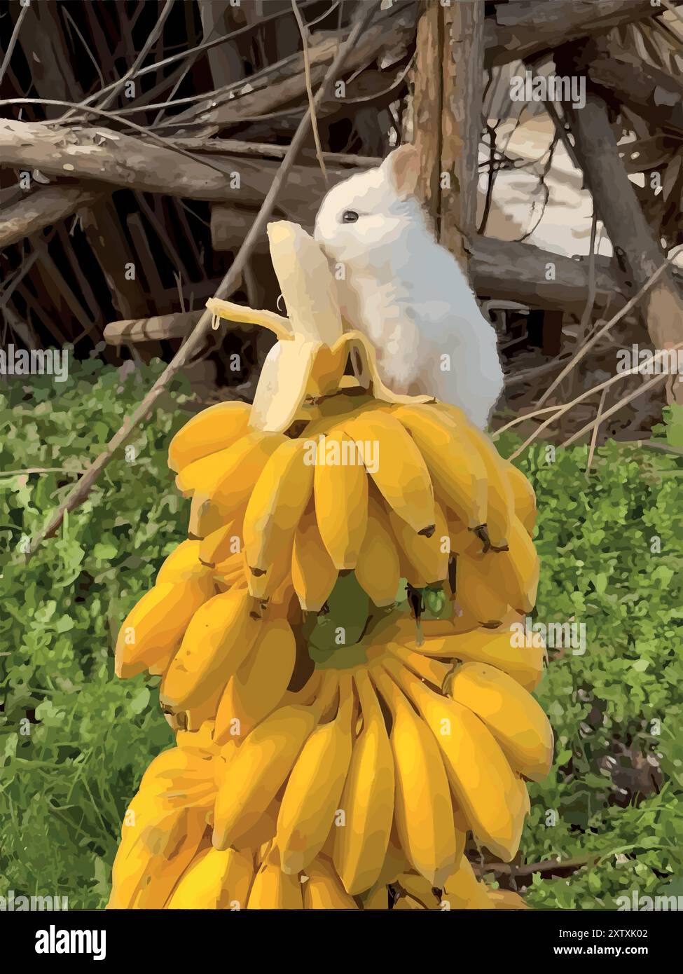 Tiny Rabbit Indulging in a Banana. A Wholesome Moment in Nature Stock ...