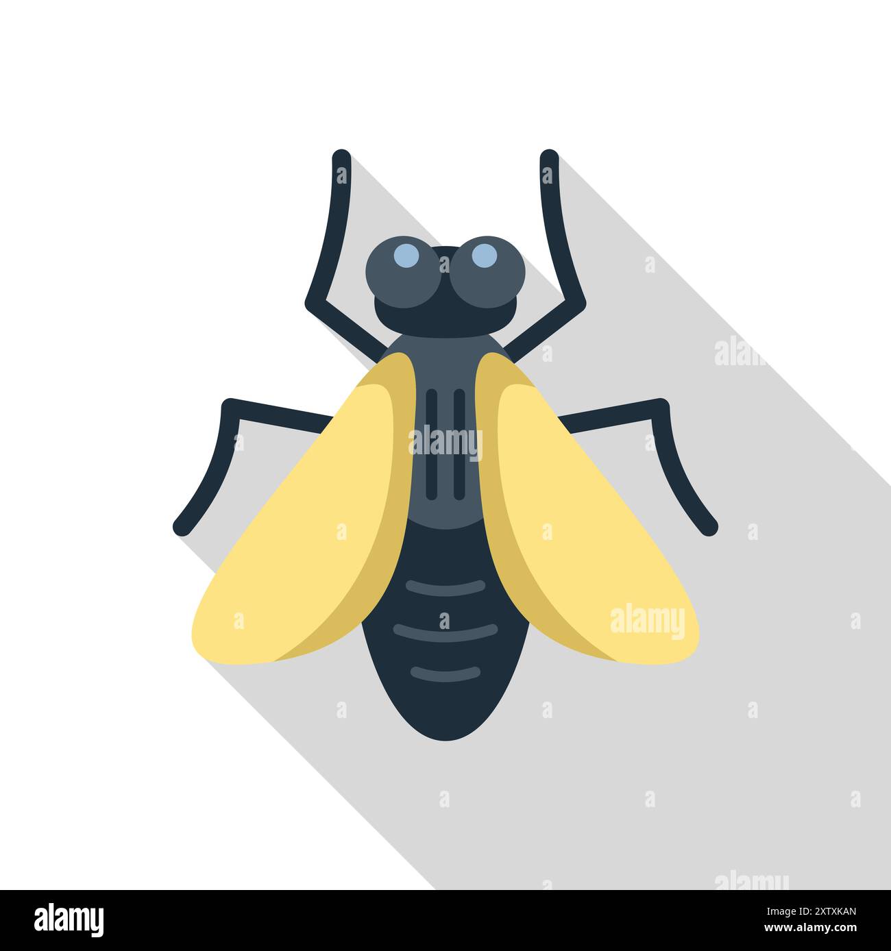 House fly icon representing spreading of germs and diseases through ...
