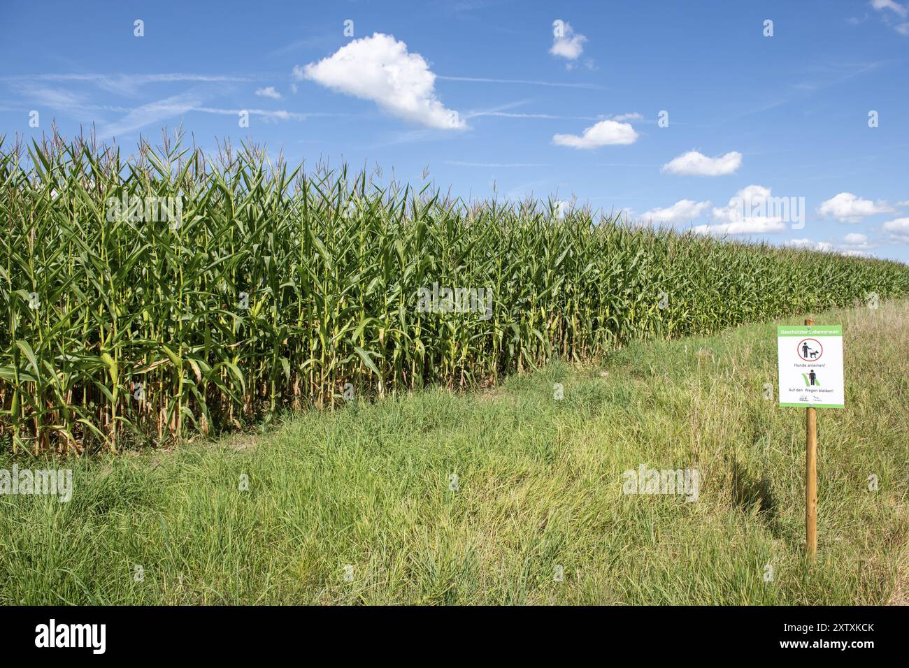 Dog owner info hi-res stock photography and images - Alamy