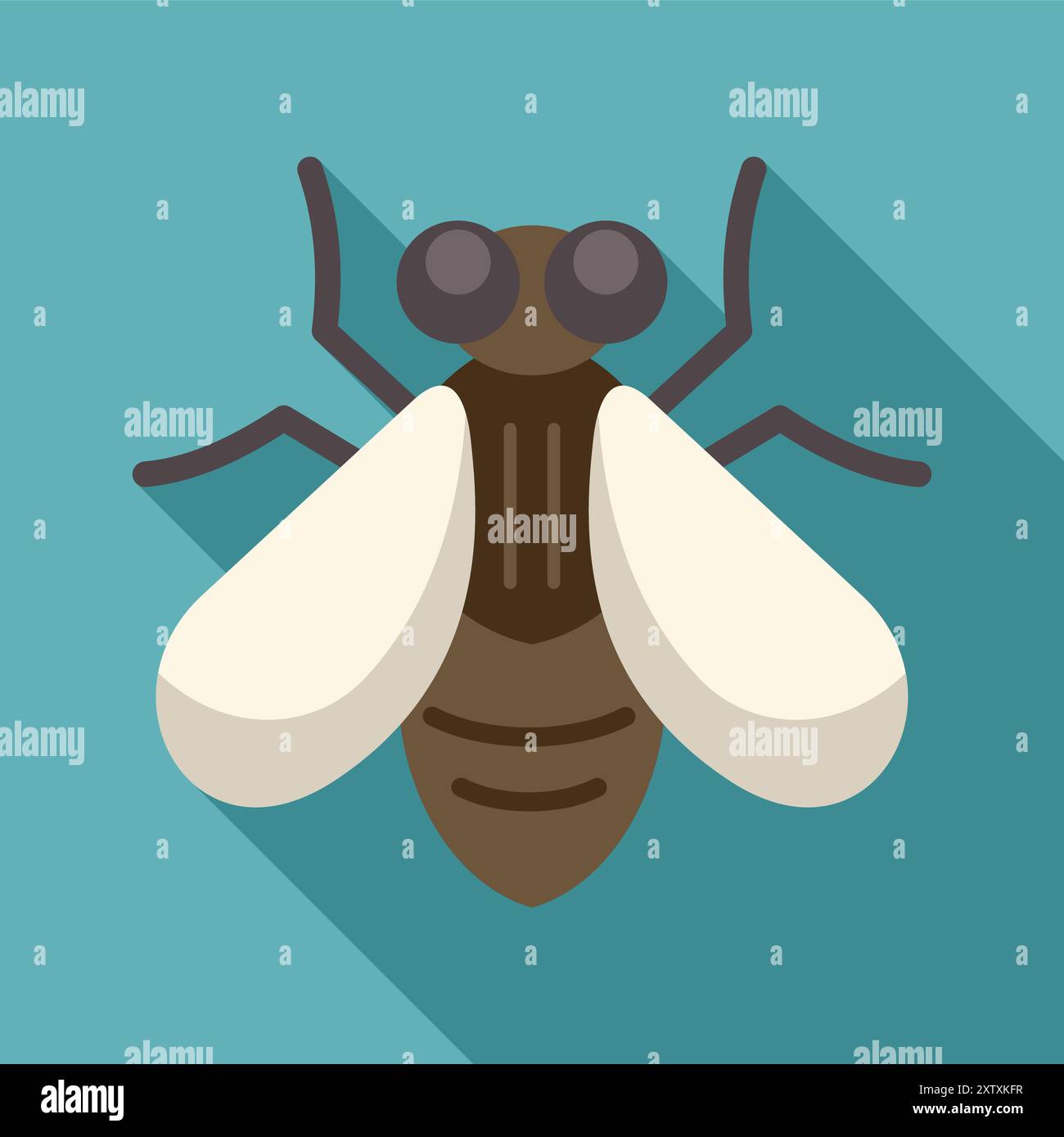 House fly is spreading germs with its dirty legs and wings Stock Vector ...