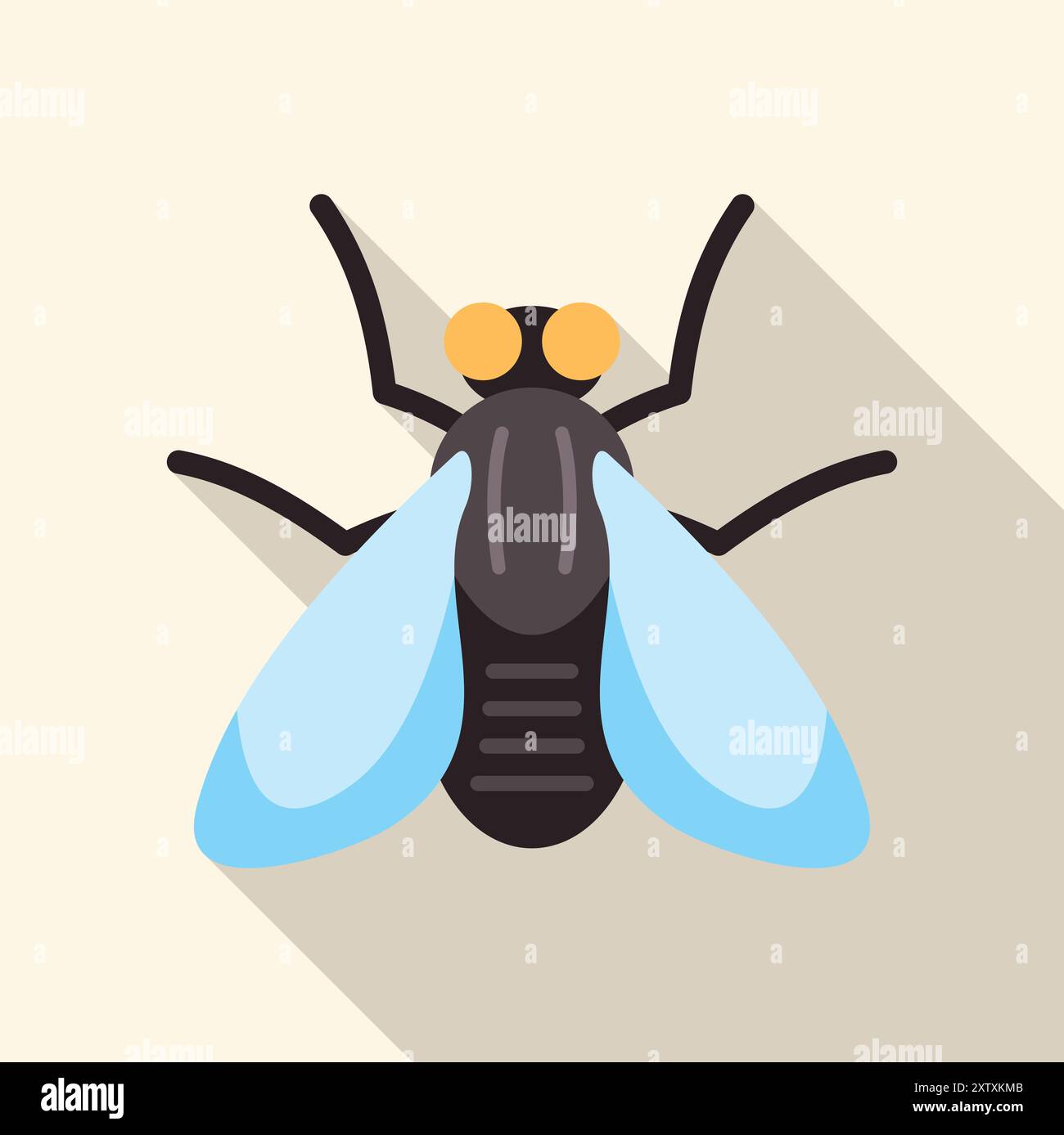 House fly insect spreading germs with its wings wide open, top view of ...