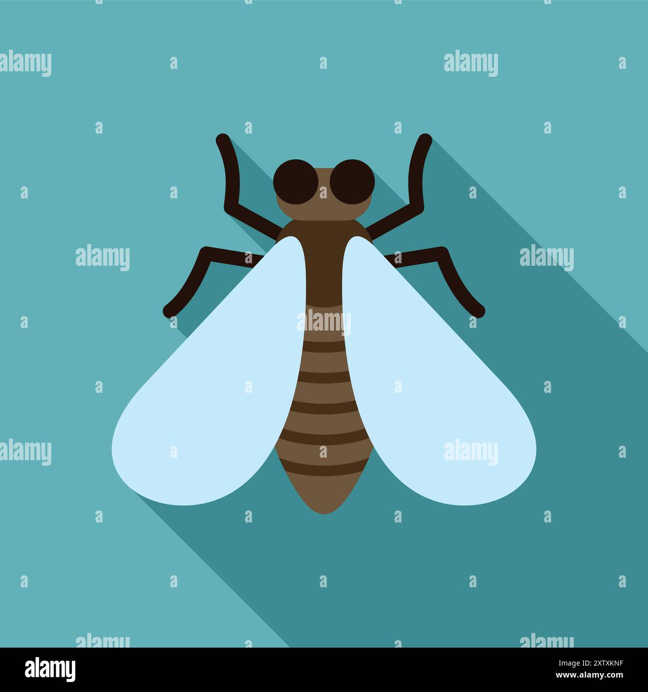 Big brown fly insect is spreading its wings on a turquoise background ...