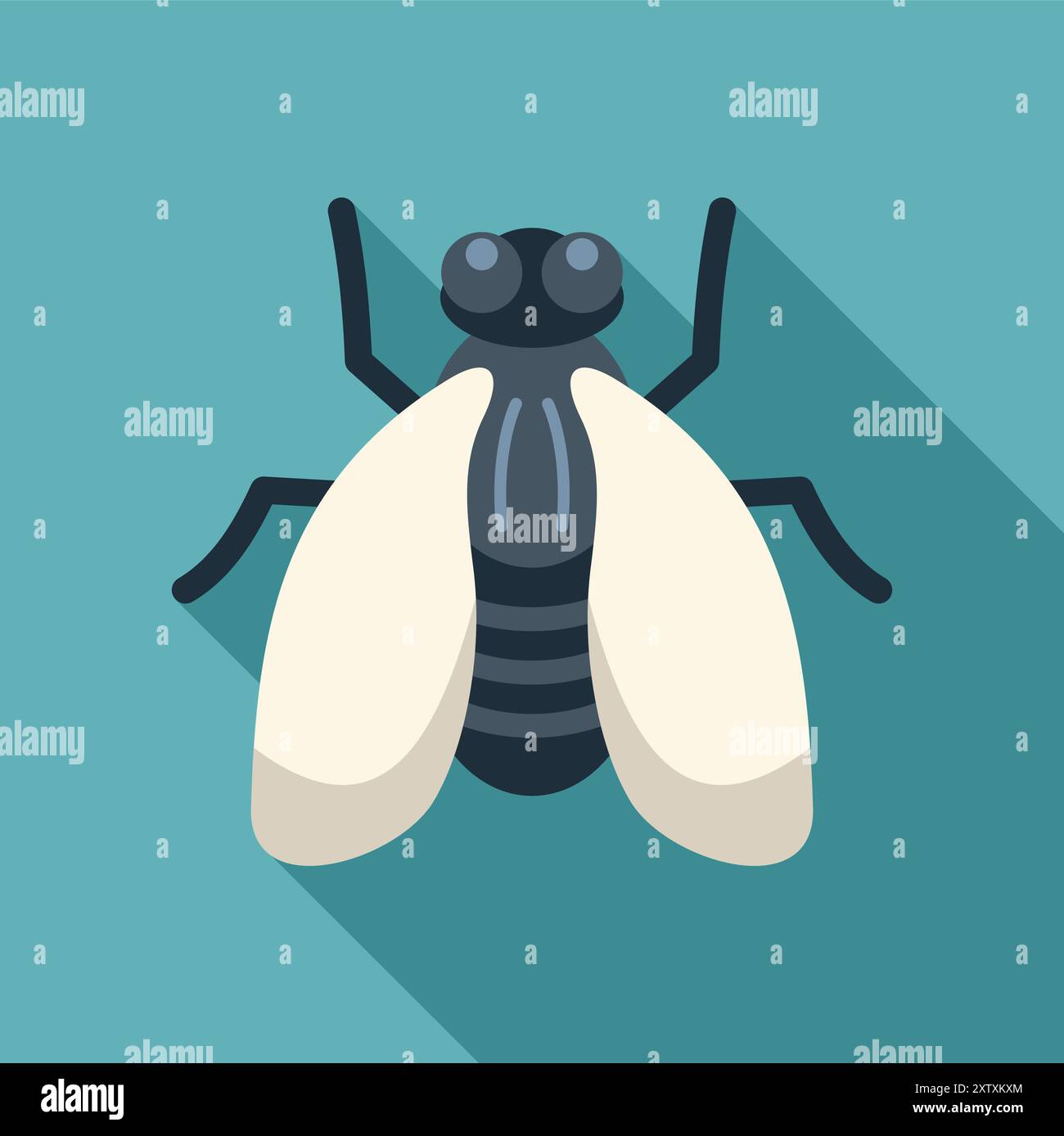 Common housefly Stock Vector Images - Alamy