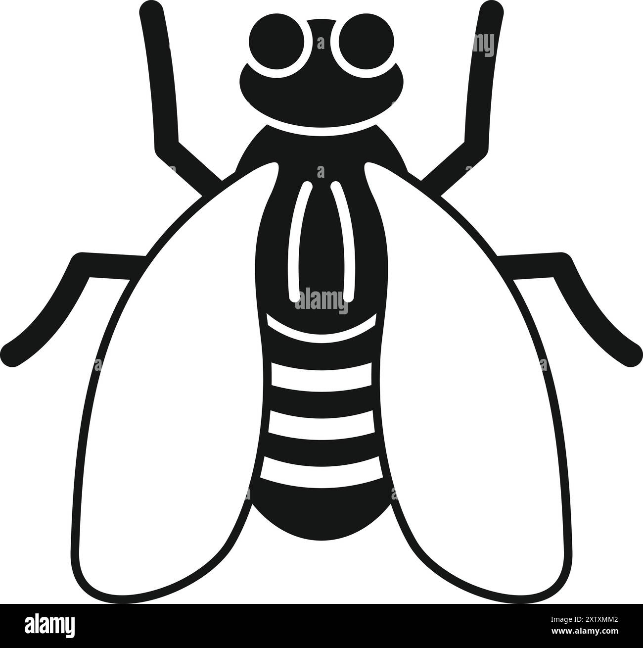 Black and white house fly spreading disease with wings open Stock ...