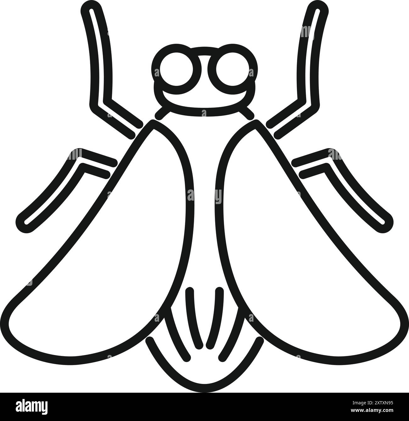 Line drawing of a housefly spreading germs with open wings Stock Vector ...