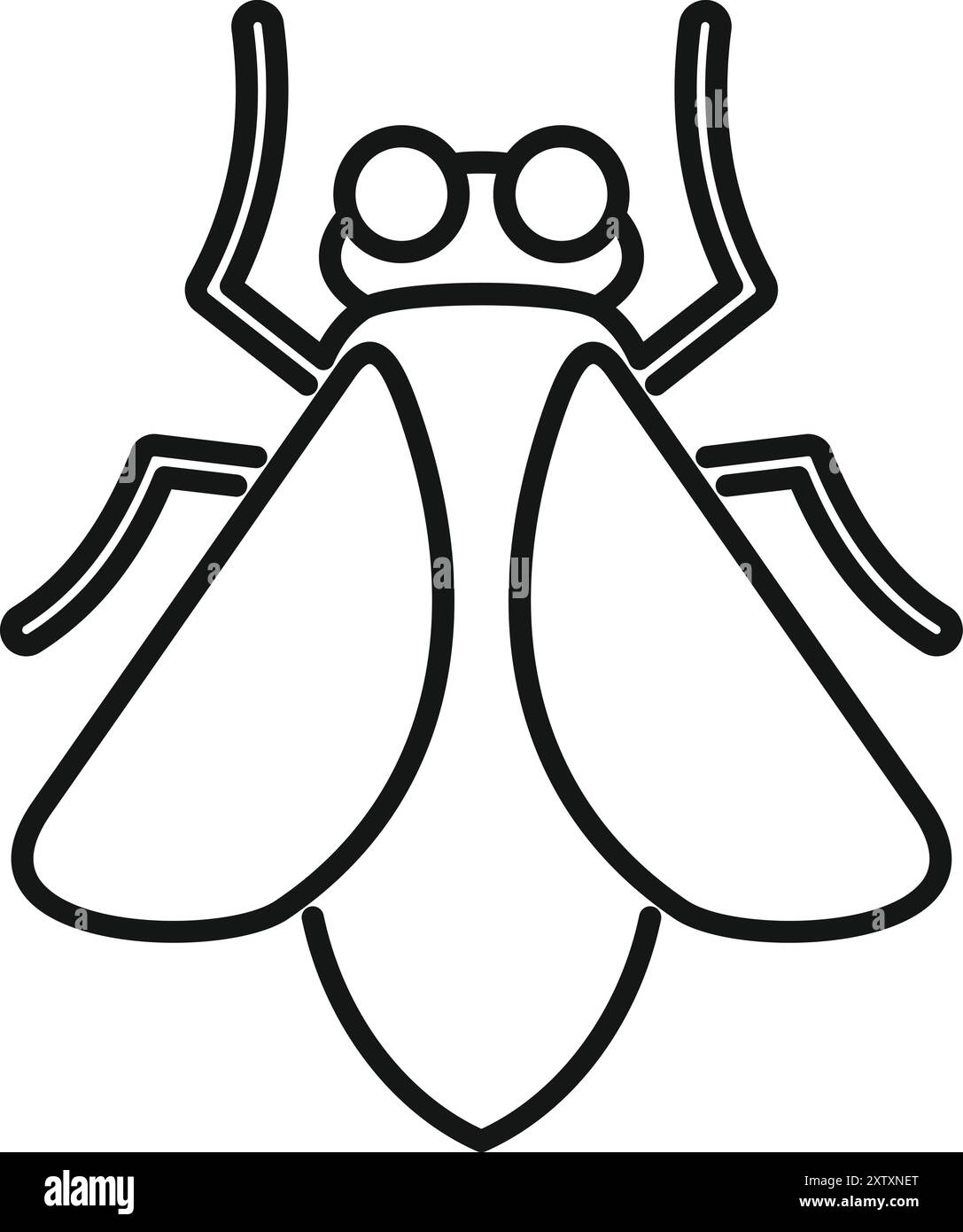 Line drawing of a housefly spreading its wings on a white background ...