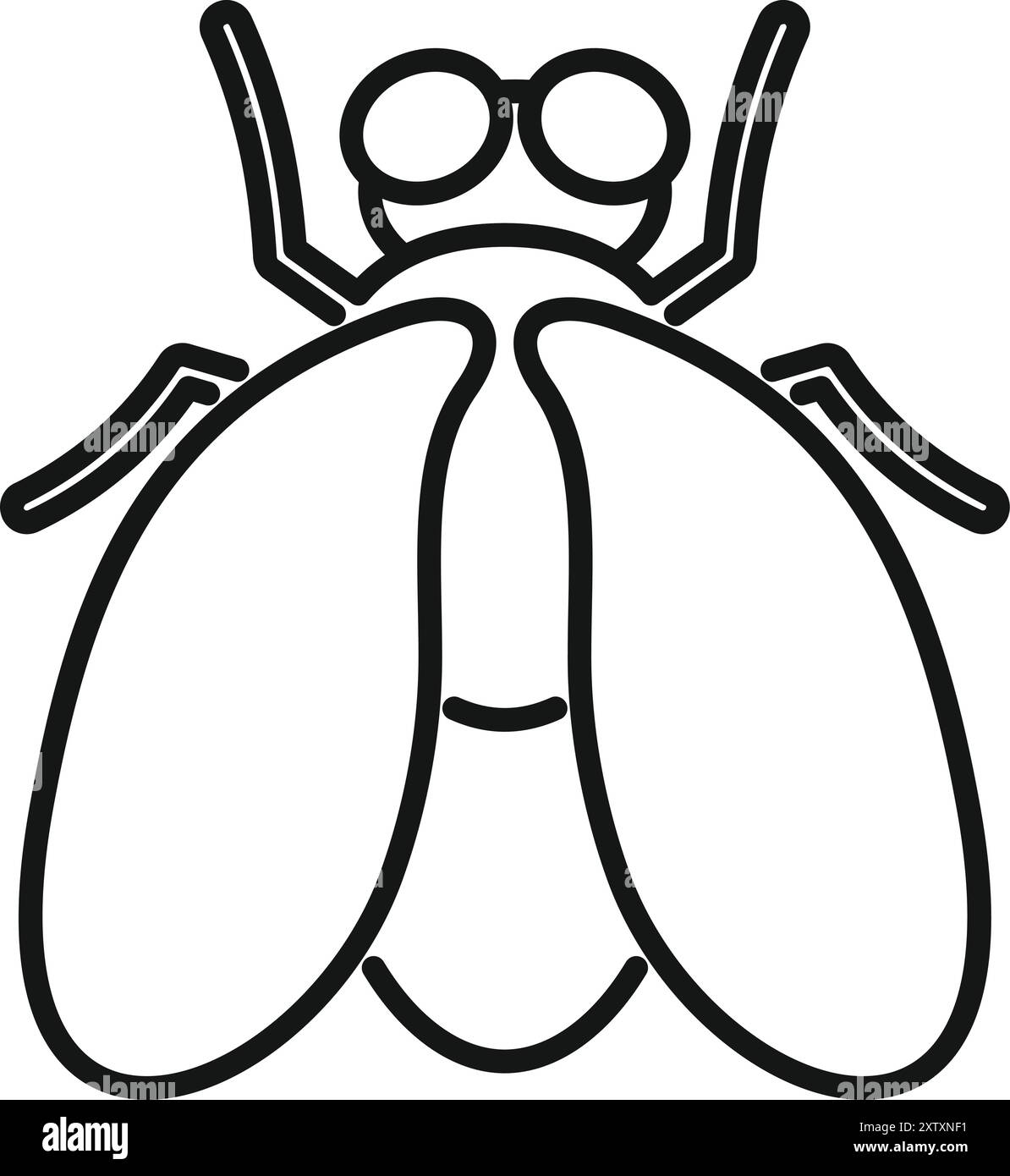 Simple black and white line drawing of a house fly, a common household ...