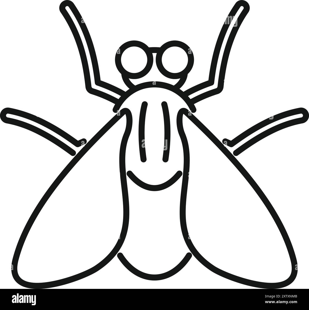 Line art icon of a housefly spreading germs with its tiny hairs Stock ...