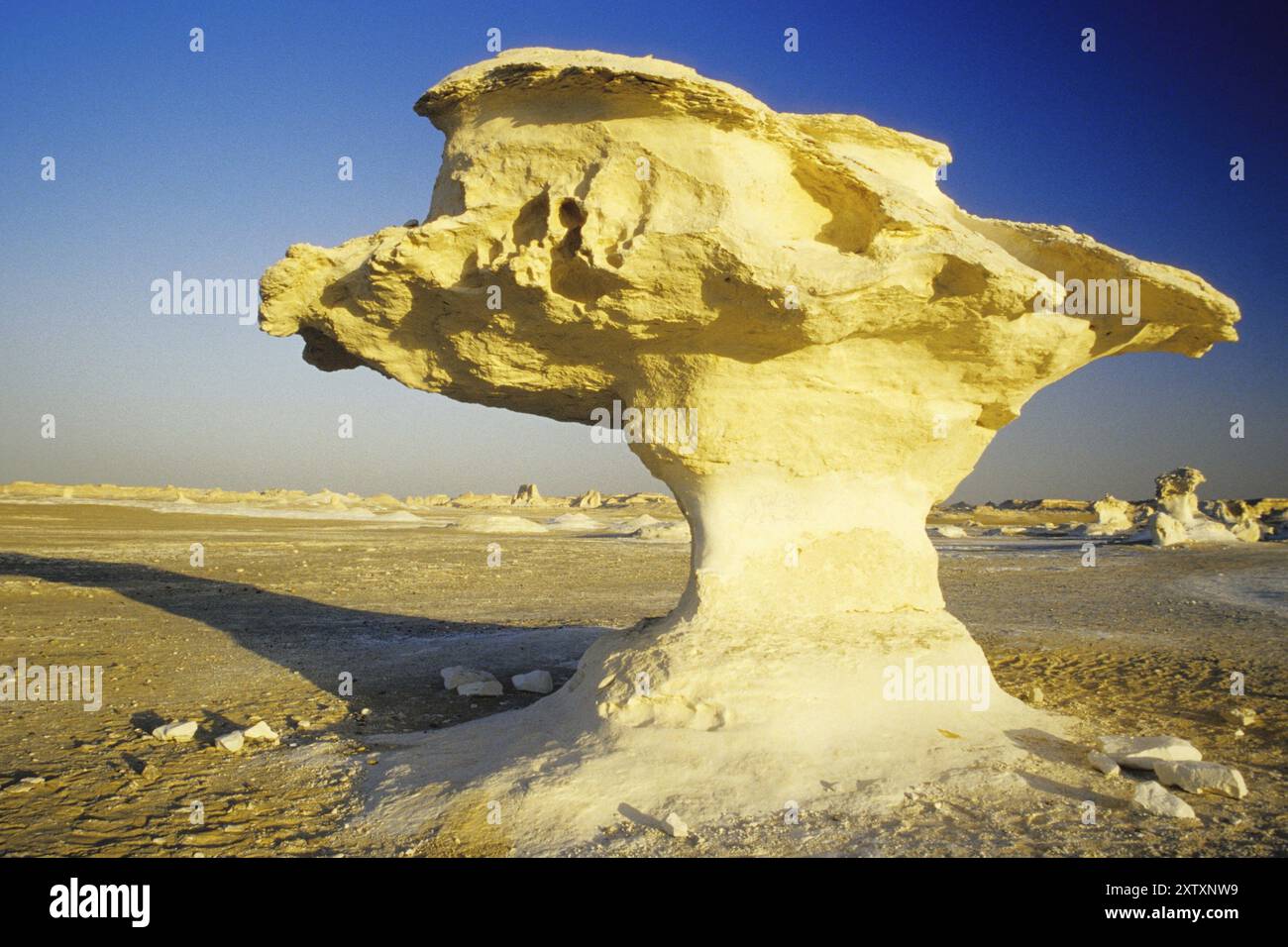 Rock formation in the White Desert, Egypt, White Desert, Egypt, Africa ...
