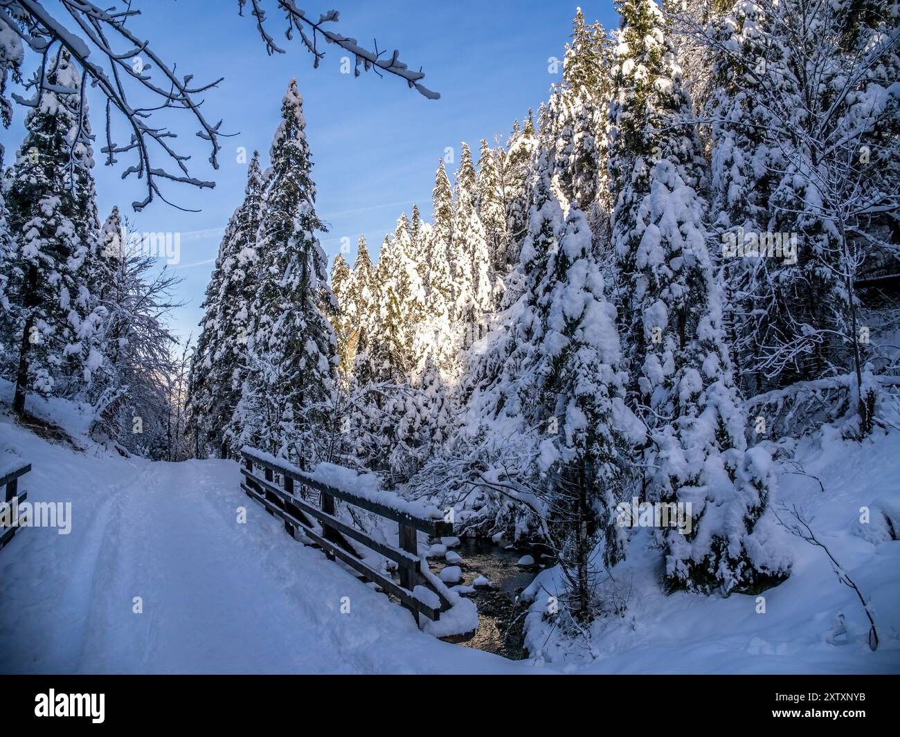 Tatra National Park, Poland in Winter Stock Photo - Alamy