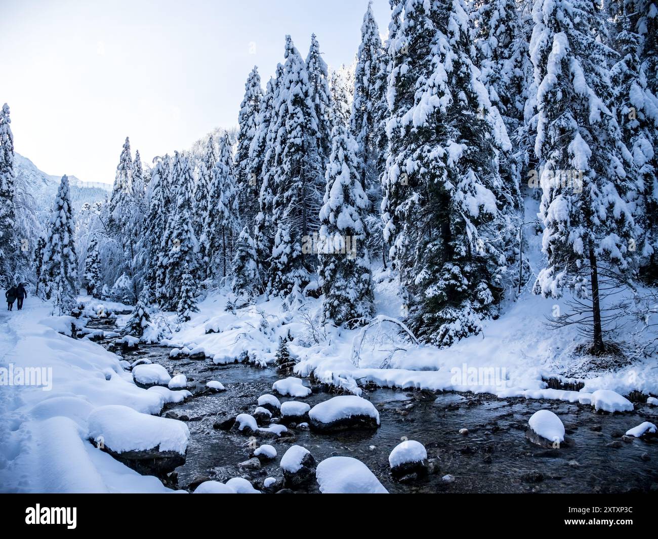 Tatra National Park, Poland in Winter Stock Photo - Alamy