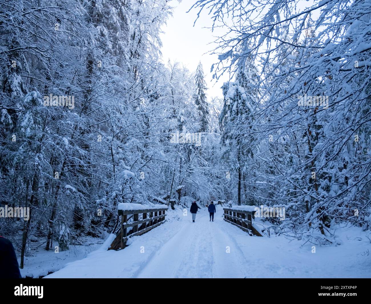 Western tatra in winter hi-res stock photography and images - Alamy