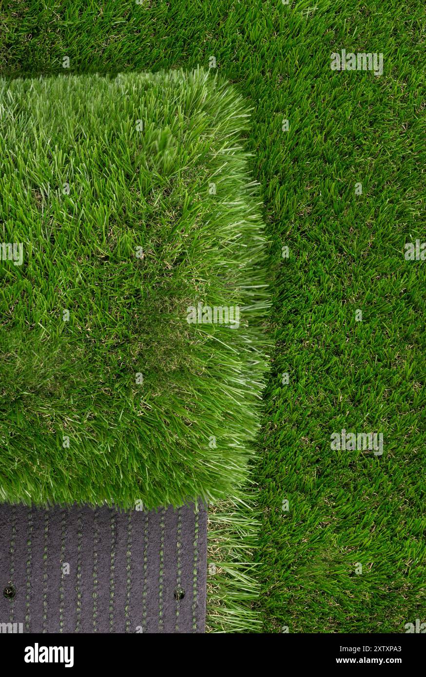 Artificial Grass Varieties Comparison and Installation Stock Photo - Alamy