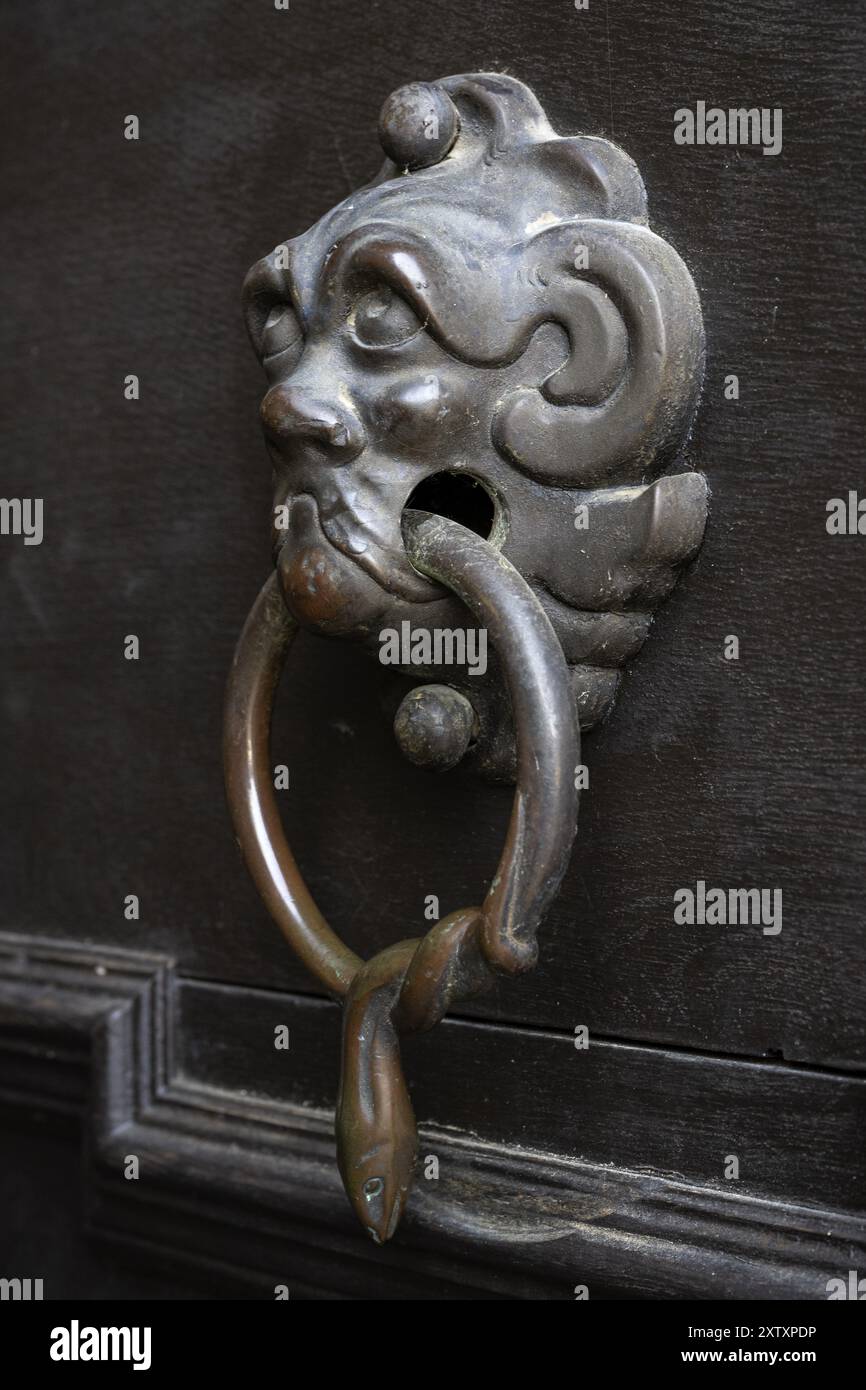 Lion's head, historical door knocker on a wooden door, Salem Castle ...
