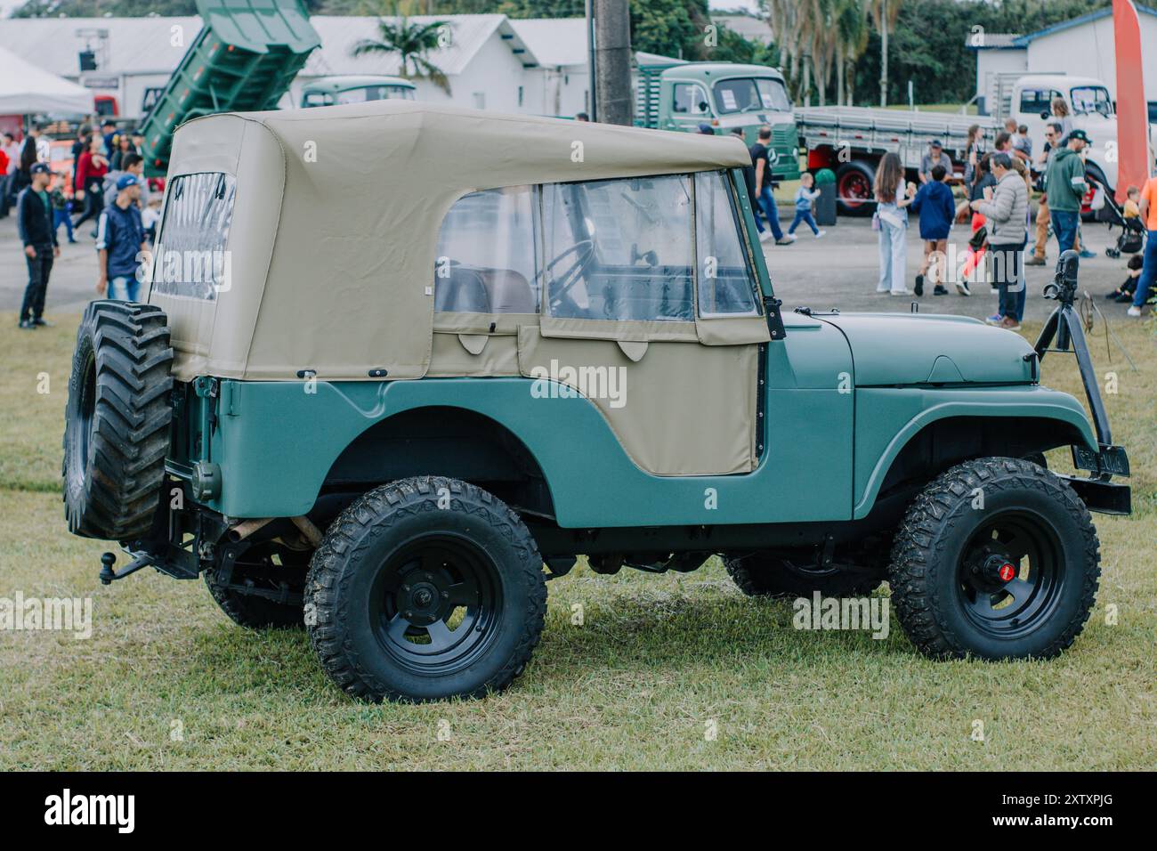 Military Jeep in Action: Capturing the Rugged Strength and Historical ...