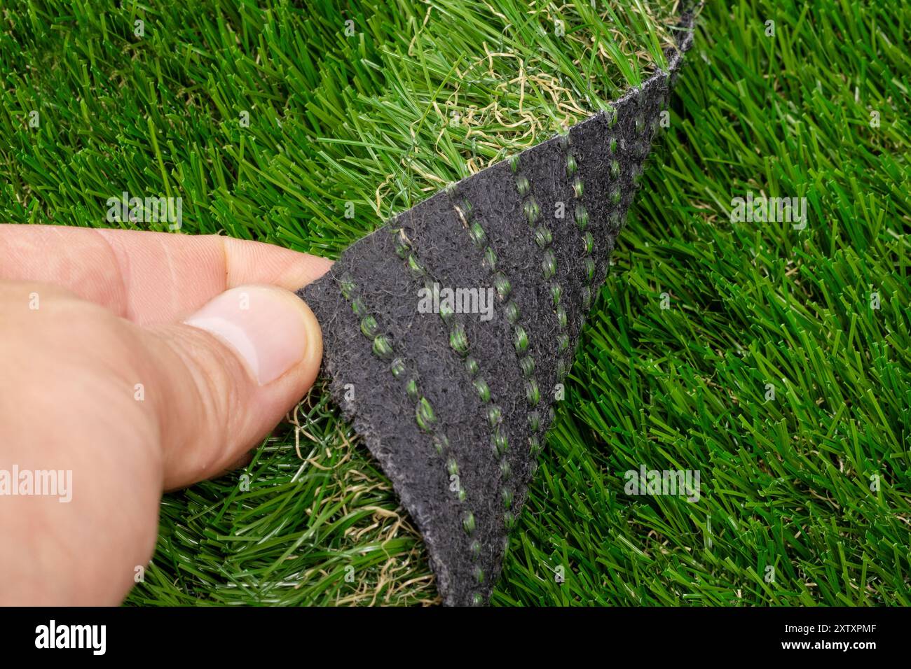 Artificial Grass Installation: Revealing Turf Backing Structure Stock ...