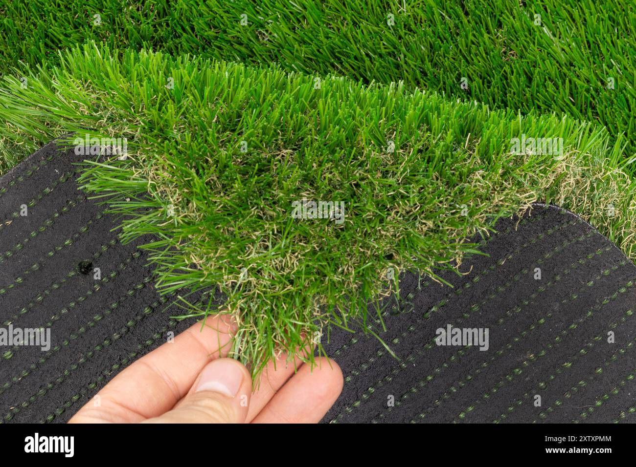 Hand Holding Edge of Artificial Grass Roll Stock Photo - Alamy