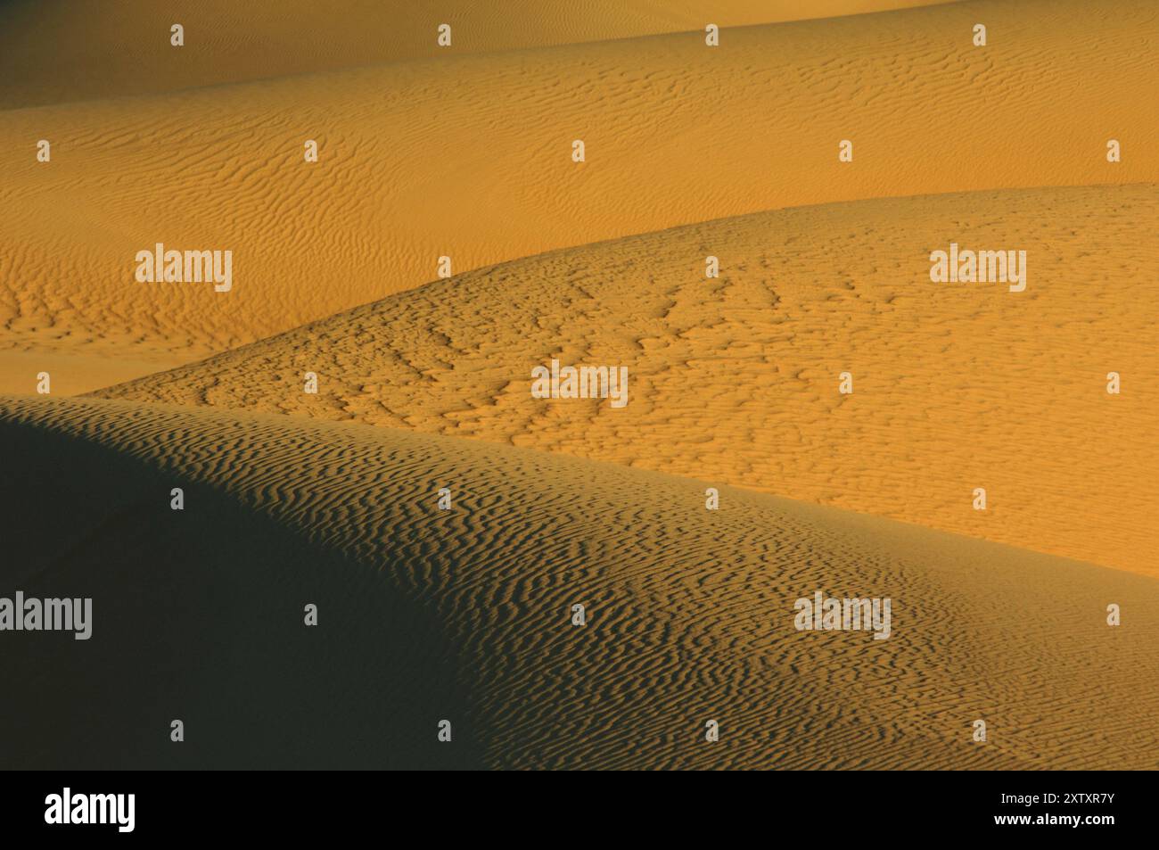 Egypt sand texture hi-res stock photography and images - Alamy