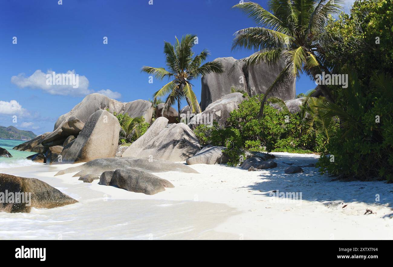 La Digue, Palm tree beach, Seychelles, Indian Ocean, Palm trees, La ...