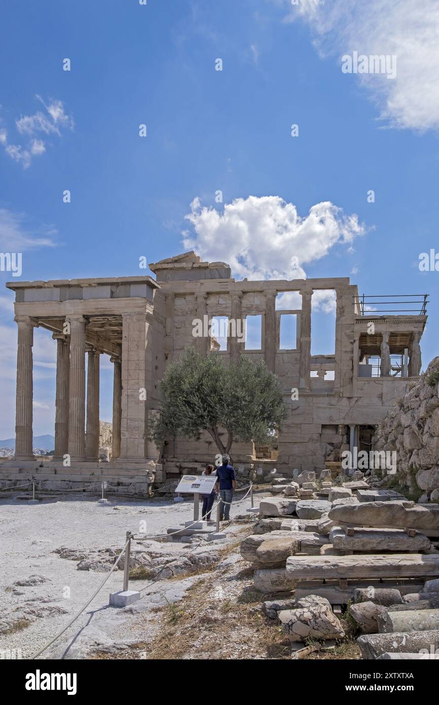 Olive tree in the center of the picture hi-res stock photography and ...