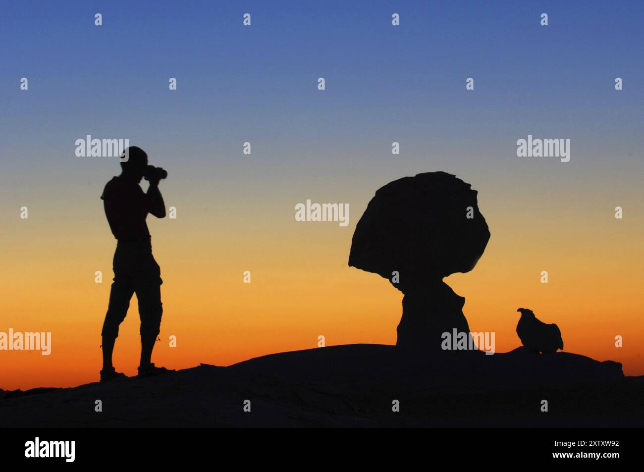 Egypt, White Desert, bizarre sandstone cliffs, photographer in front of ...