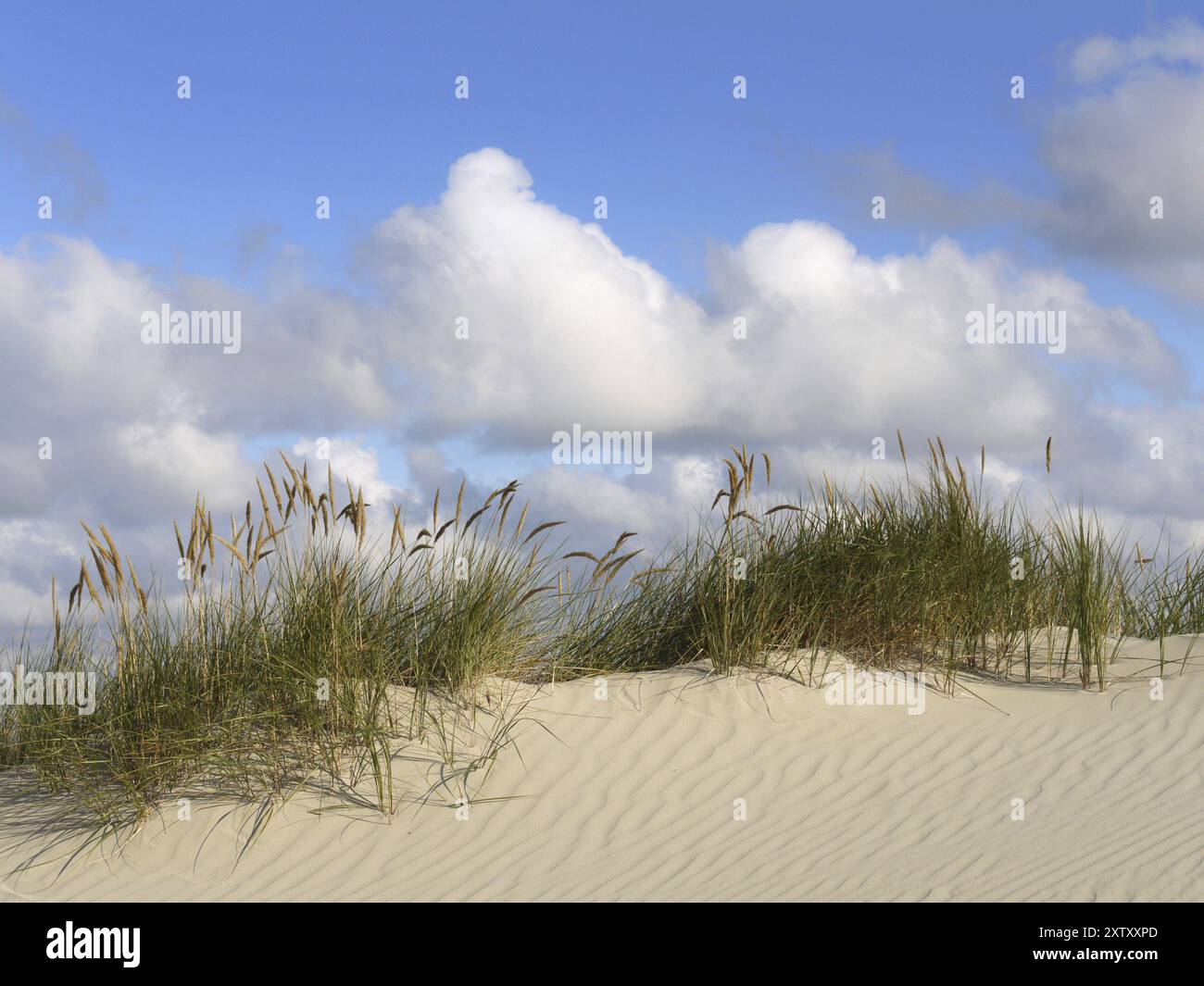 Grass embankment hi-res stock photography and images - Alamy