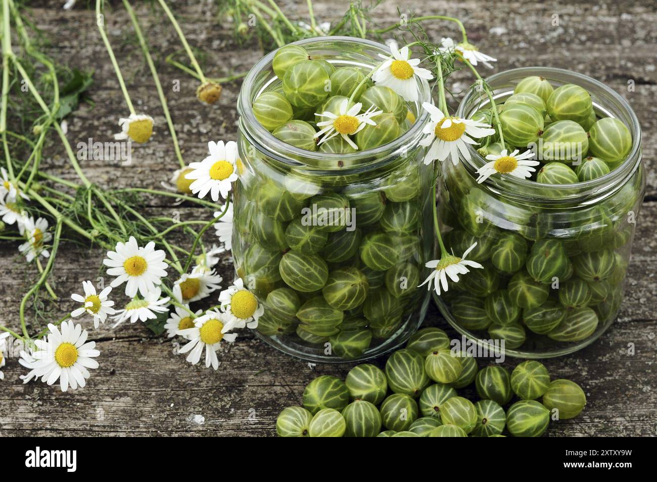 Cooking homemade gooseberry jam hi-res stock photography and images - Alamy