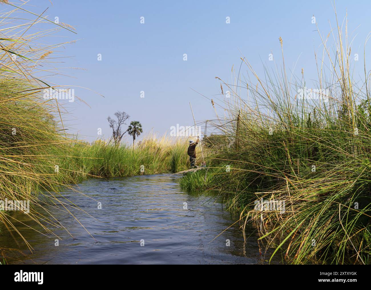 Adventure boat trip in a traditional Makoro at the Okavango Delta ...