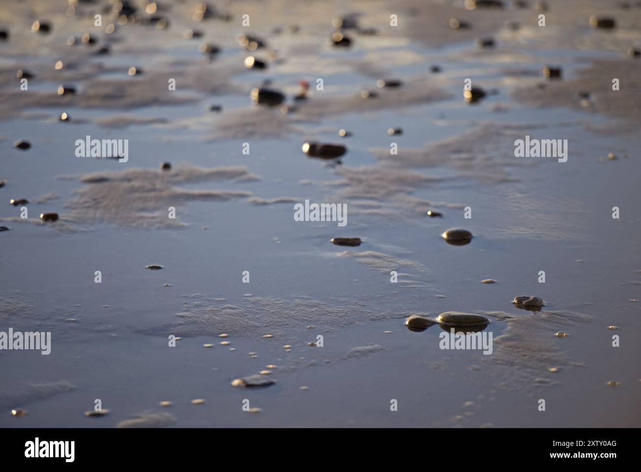 Stone between water and sand Stock Photo - Alamy