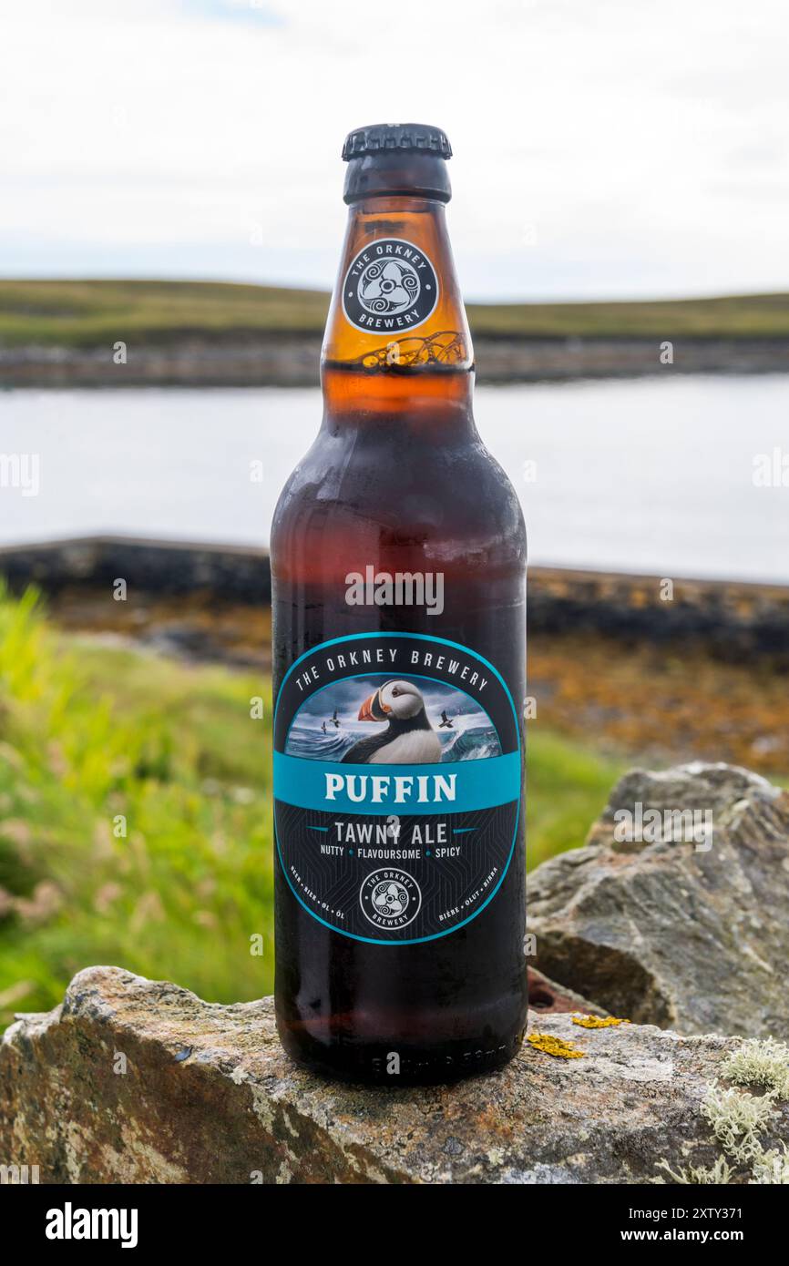 Puffin tawny ale hi-res stock photography and images - Alamy