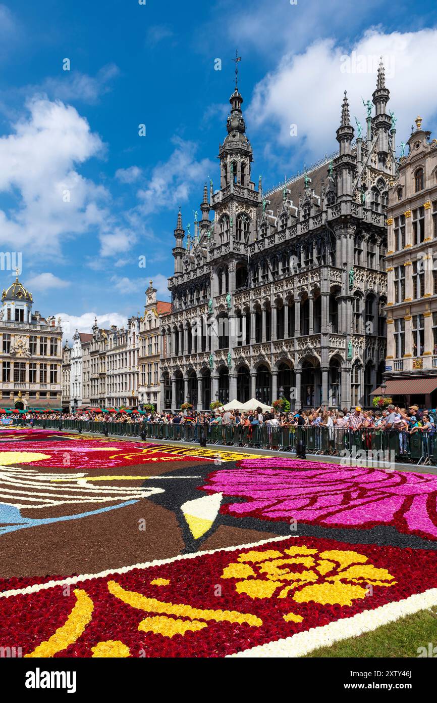 Brussels flower carpet 2024 on Grand Place main square with House of ...