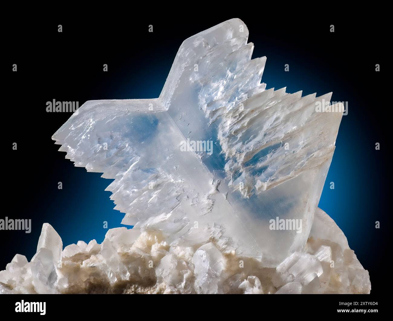 Illustrating specimens hi-res stock photography and images - Alamy