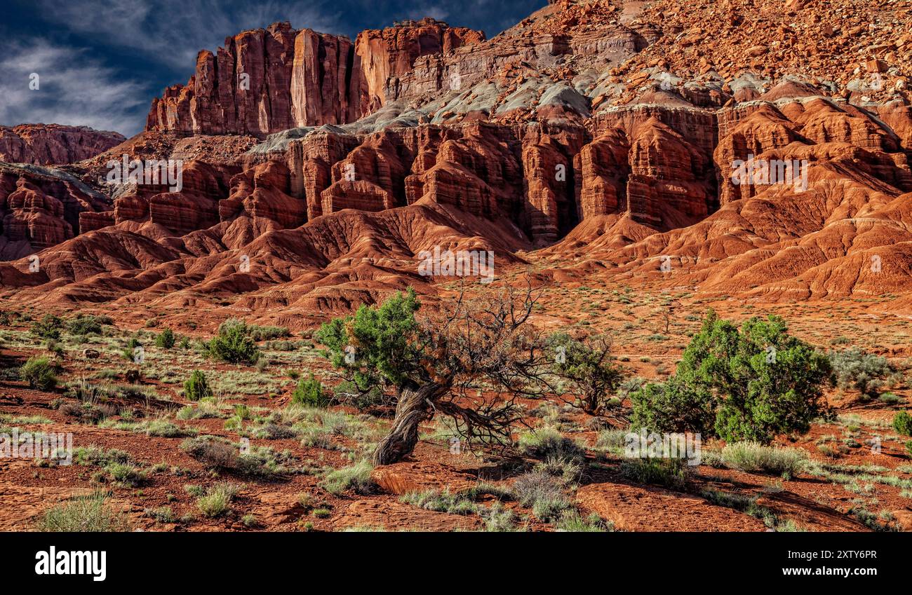 The Red Moenkopi Formation and Layered Strata - Capitol Reef National ...