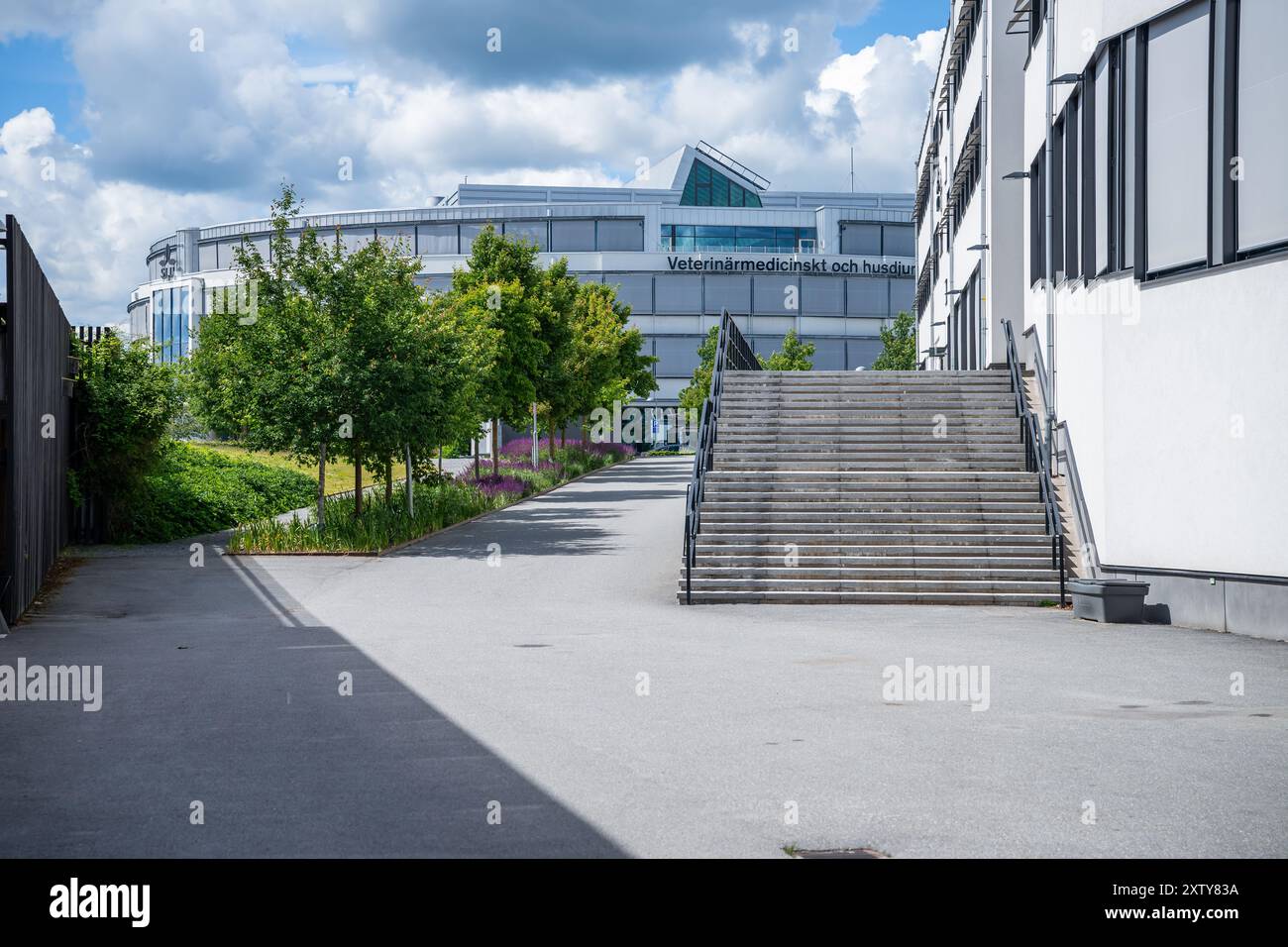 Swedish agricultural university hi-res stock photography and images - Alamy