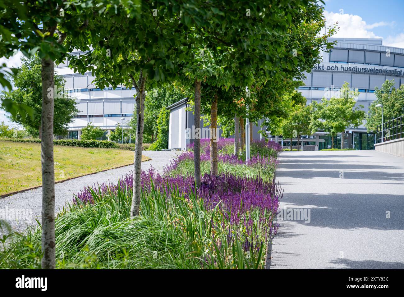 Swedish agricultural university hi-res stock photography and images - Alamy