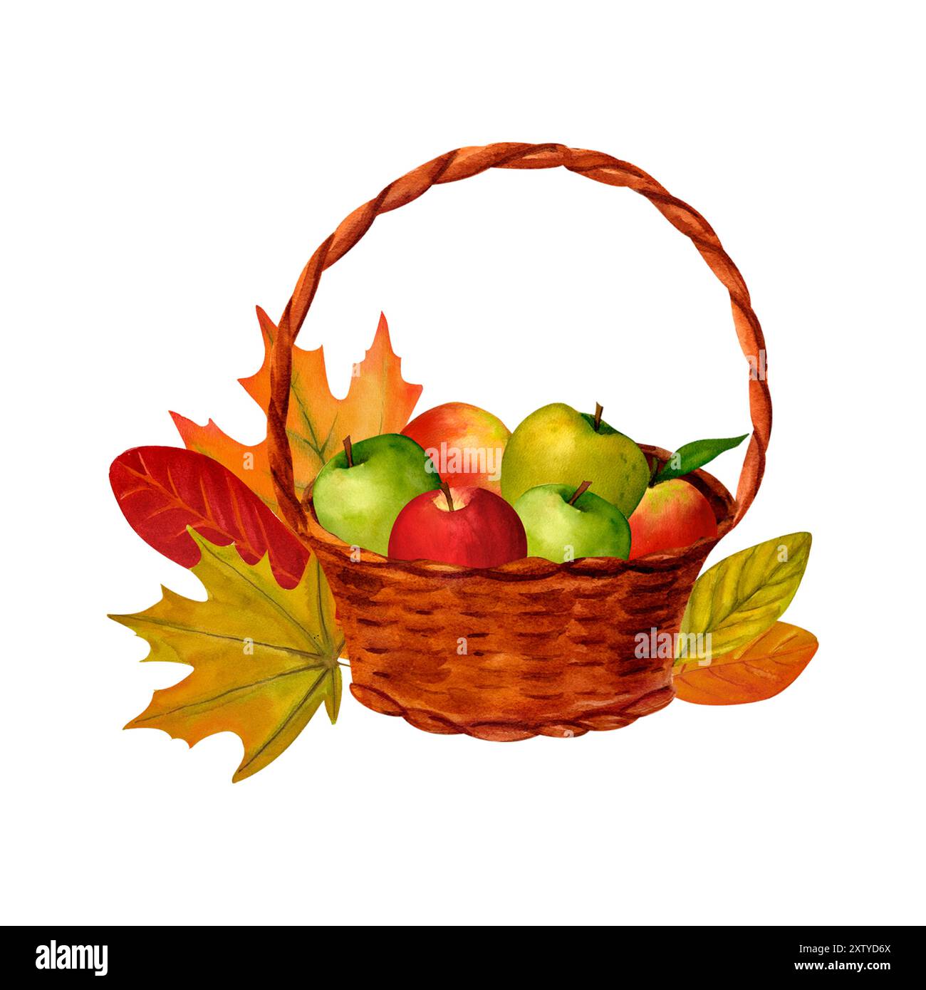 Apple basket and autumn leaves clip art, watercolor realistic botanical ...