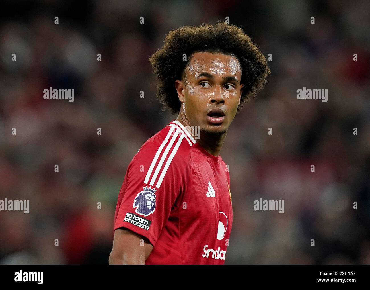 Joshua zirkzee manchester united hi-res stock photography and images ...
